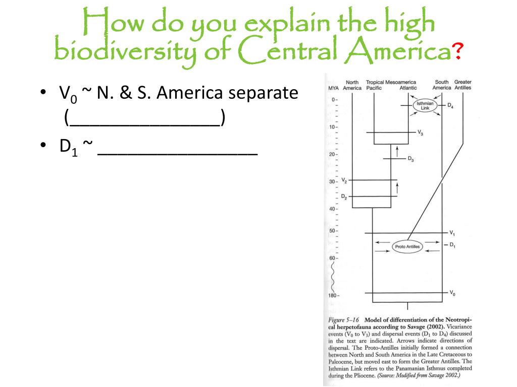 PPT - BIOL 3300 Vertebrate Zoology: Ectotherms - Herpetology PowerPoint ...