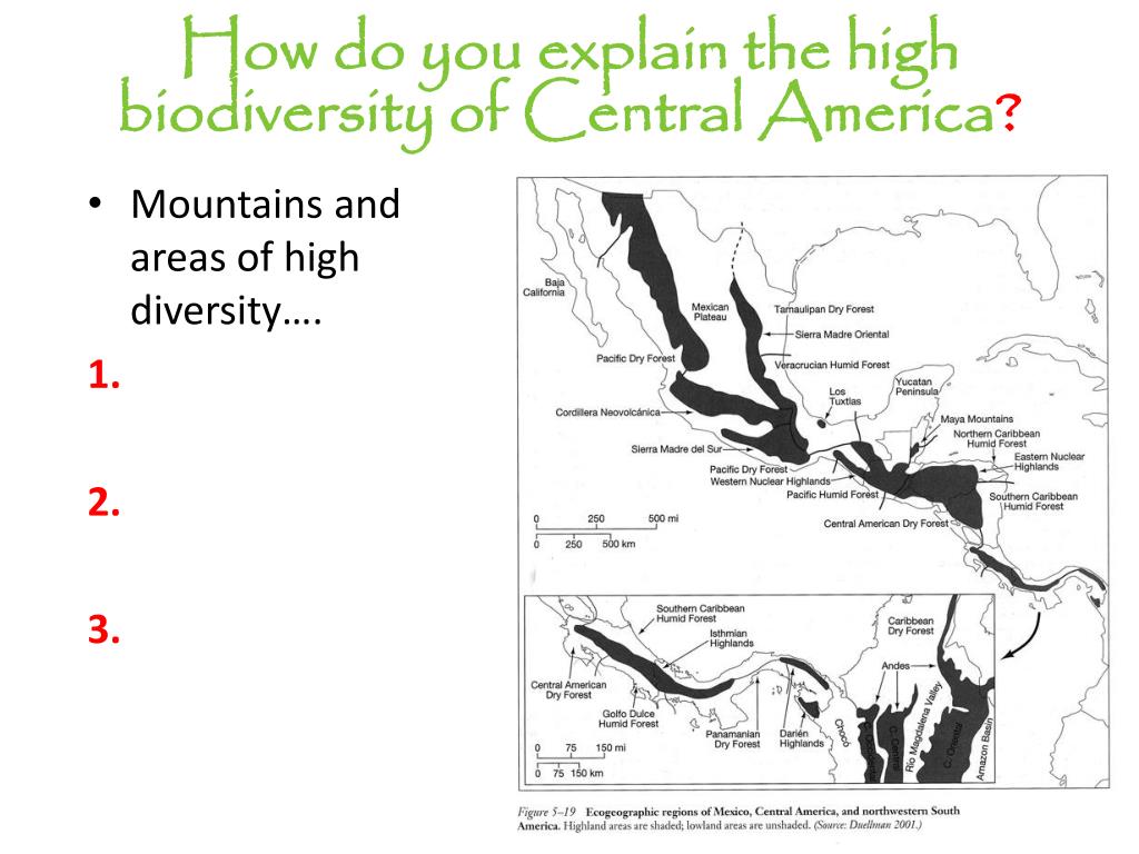 PPT - BIOL 3300 Vertebrate Zoology: Ectotherms - Herpetology PowerPoint ...