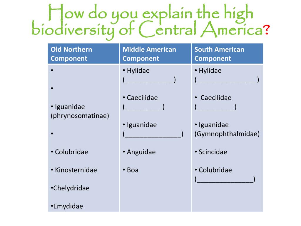 PPT - BIOL 3300 Vertebrate Zoology: Ectotherms - Herpetology PowerPoint ...