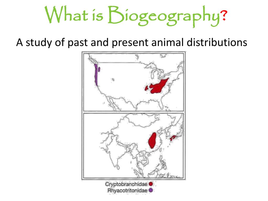 PPT - BIOL 3300 Vertebrate Zoology: Ectotherms - Herpetology PowerPoint ...