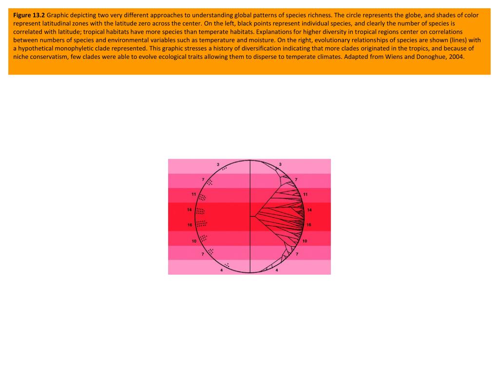 PPT - BIOL 3300 Vertebrate Zoology: Ectotherms - Herpetology PowerPoint ...