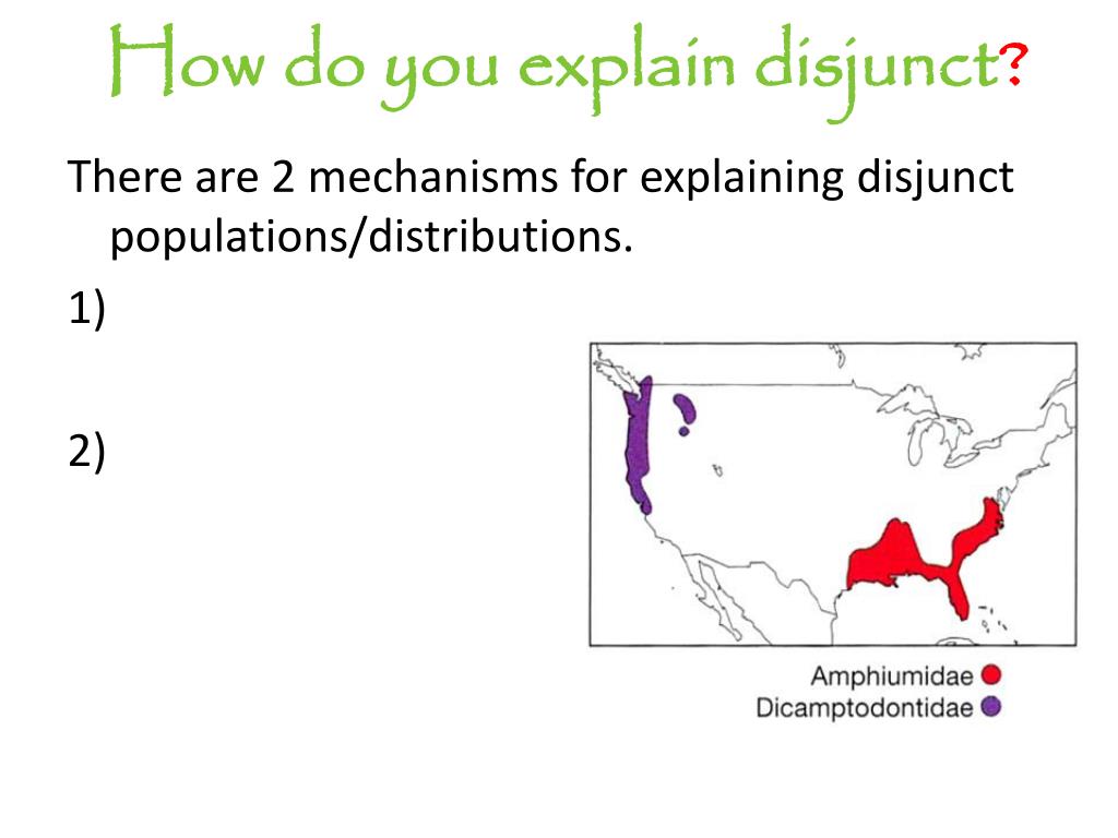 PPT - BIOL 3300 Vertebrate Zoology: Ectotherms - Herpetology PowerPoint ...