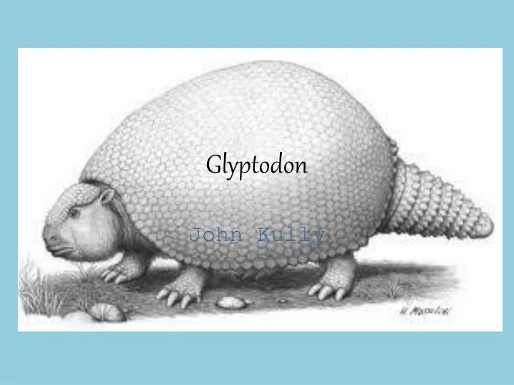 PPT - Glyptodon PowerPoint Presentation, free download - ID:2060374