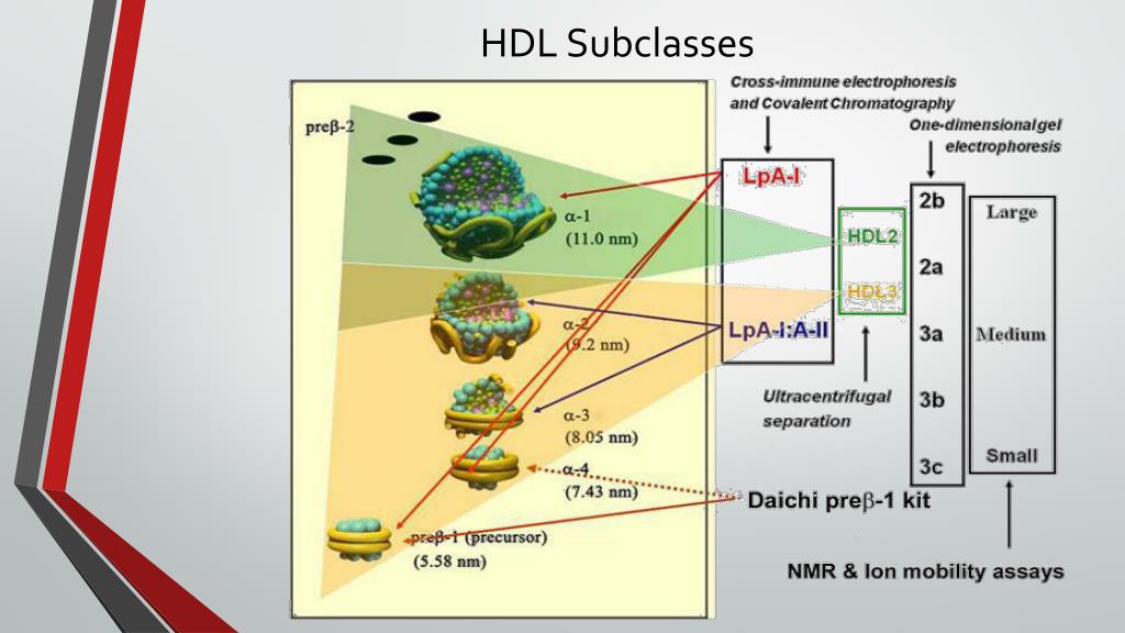 PPT - Dr.Nazar S. Haddad Ass. Prof in Chemical Pathology M.B.Ch.B.FIBMS ...