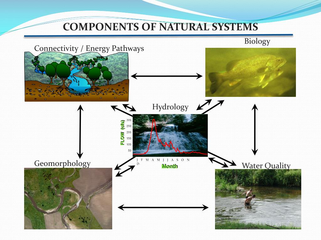 PPT - A Healthy Watersheds Assessment for the Mobile Bay Drainage Area ...