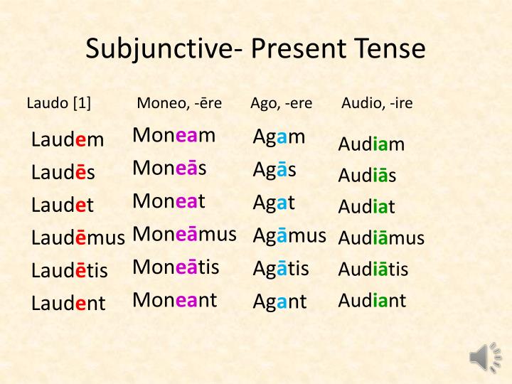 PPT - Chapter 28- The Subjunctive PowerPoint Presentation - ID:2060676