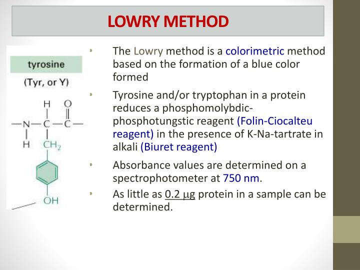 PPT - PROTEIN ANALYSIS PowerPoint Presentation - ID:2060791