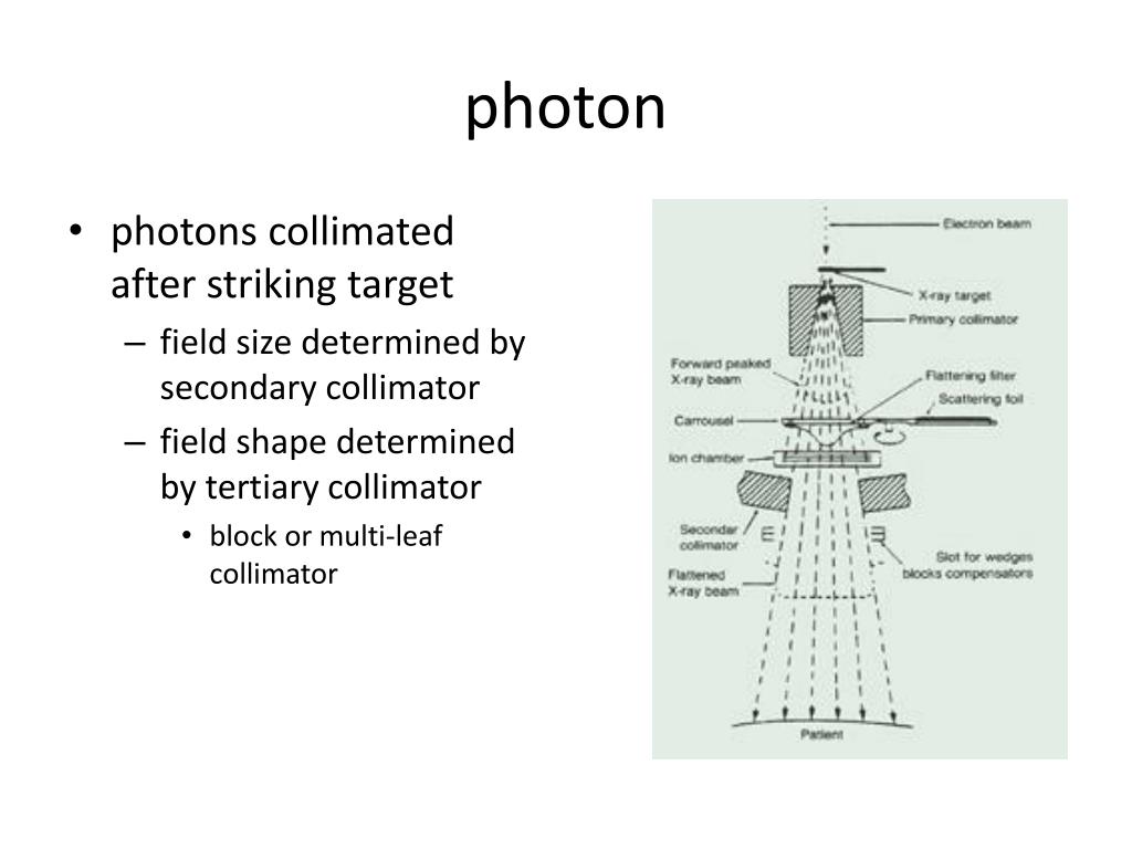 PPT - radiation therapy in cancers of the head and neck PowerPoint ...