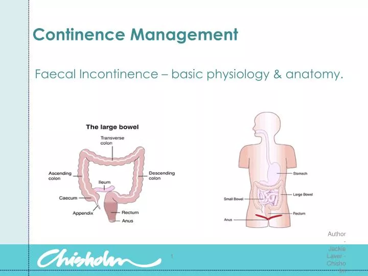 PPT - Continence Management PowerPoint Presentation, free download - ID:2061051