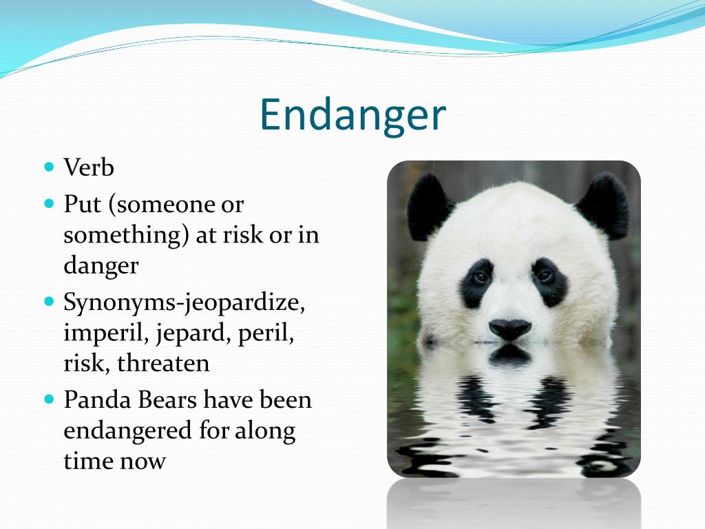 PPT - Dawson Moore’s Terrific Ten PowerPoint Presentation, free ...