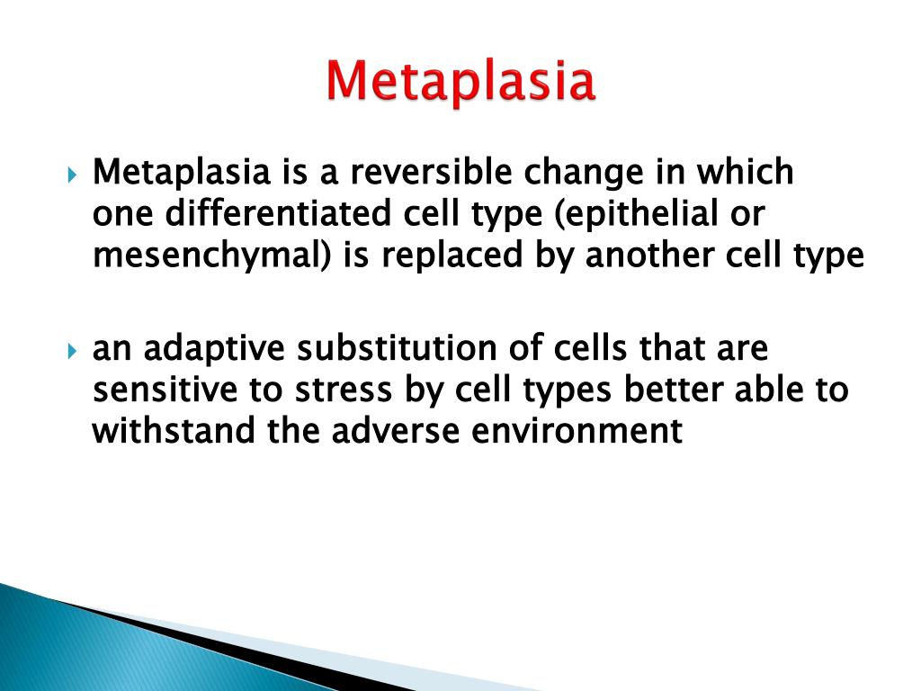 PPT - Human biology and pathology PowerPoint Presentation, free ...