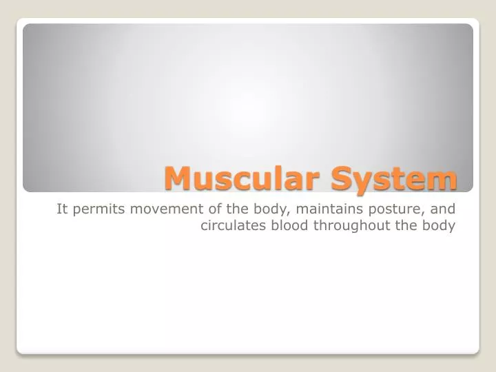 PPT - Muscular System PowerPoint Presentation, free download - ID:2062017