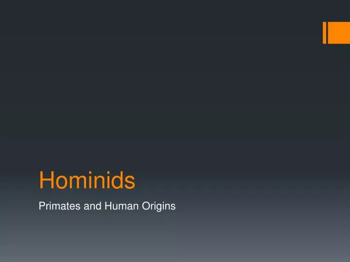 PPT - Hominids PowerPoint Presentation, free download - ID:2062173