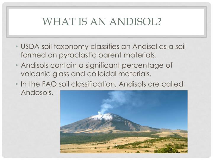 PPT - An Overview of Andisols PowerPoint Presentation - ID:2062234