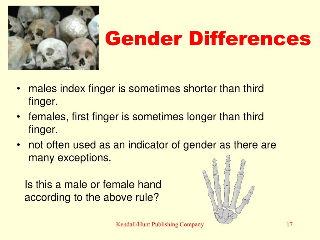 Ppt Human Remains Powerpoint Presentation Free Download Id 2062392