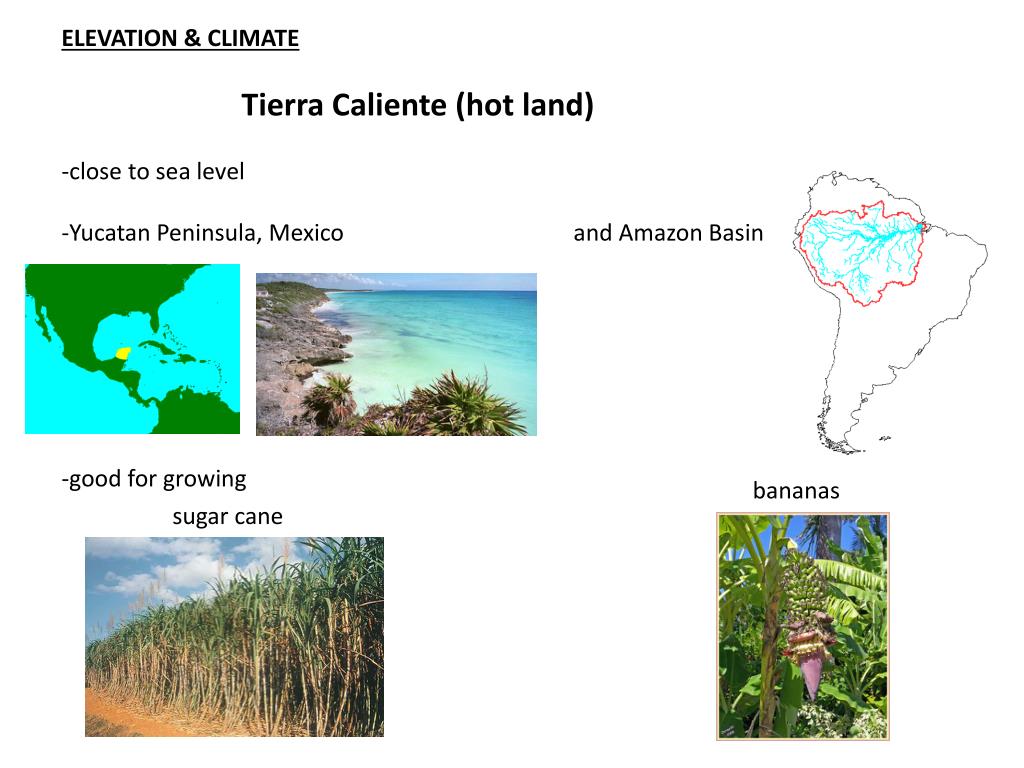 PPT - The Geography of Latin America PowerPoint Presentation, free ...