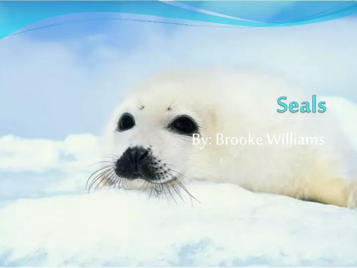 PPT - Seals PowerPoint Presentation, free download - ID:2062781