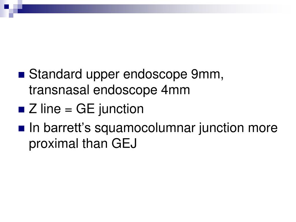 PPT - Esophagus Anatomy, Physiology, and Diseases PowerPoint ...