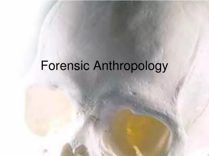 PPT - Forensic Anthropology PowerPoint Presentation, free download - ID ...
