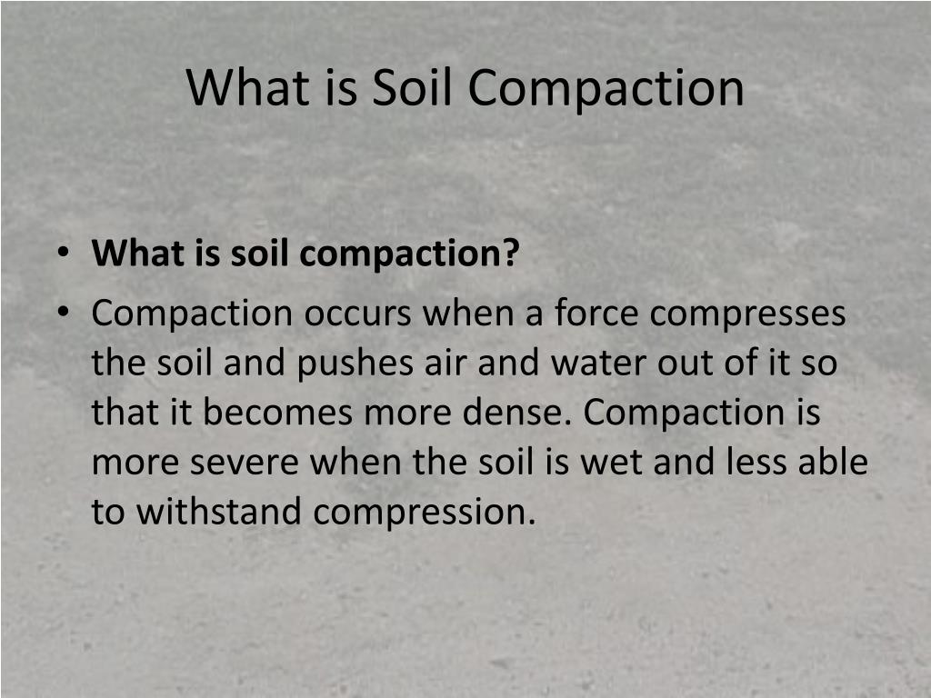 What Is Compaction In Science
