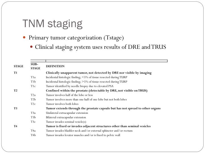 PPT - Neoplasms of the Prostate Gland PowerPoint Presentation - ID:2063288