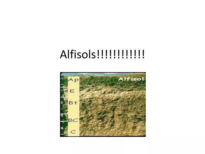 PPT - Alfisols !!!!!!!!!!!! PowerPoint Presentation, free download - ID ...