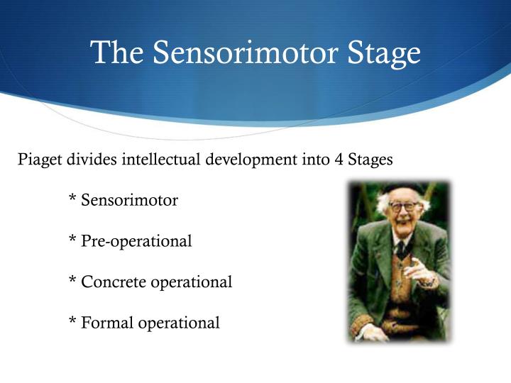 PPT - Piaget’s Sensorimotor Stage PowerPoint Presentation - ID:2063450