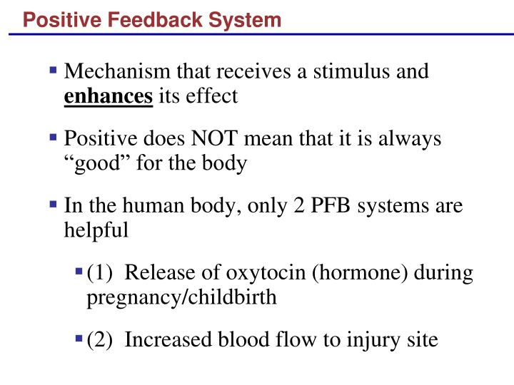 PPT - Find Someone Who………… PowerPoint Presentation - ID:2063518