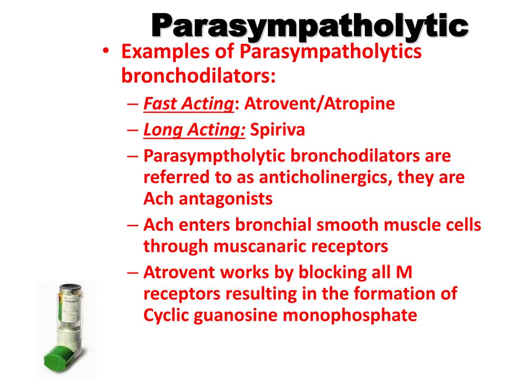 PPT - Respiratory Pharmacology Week 4 PowerPoint Presentation, free ...