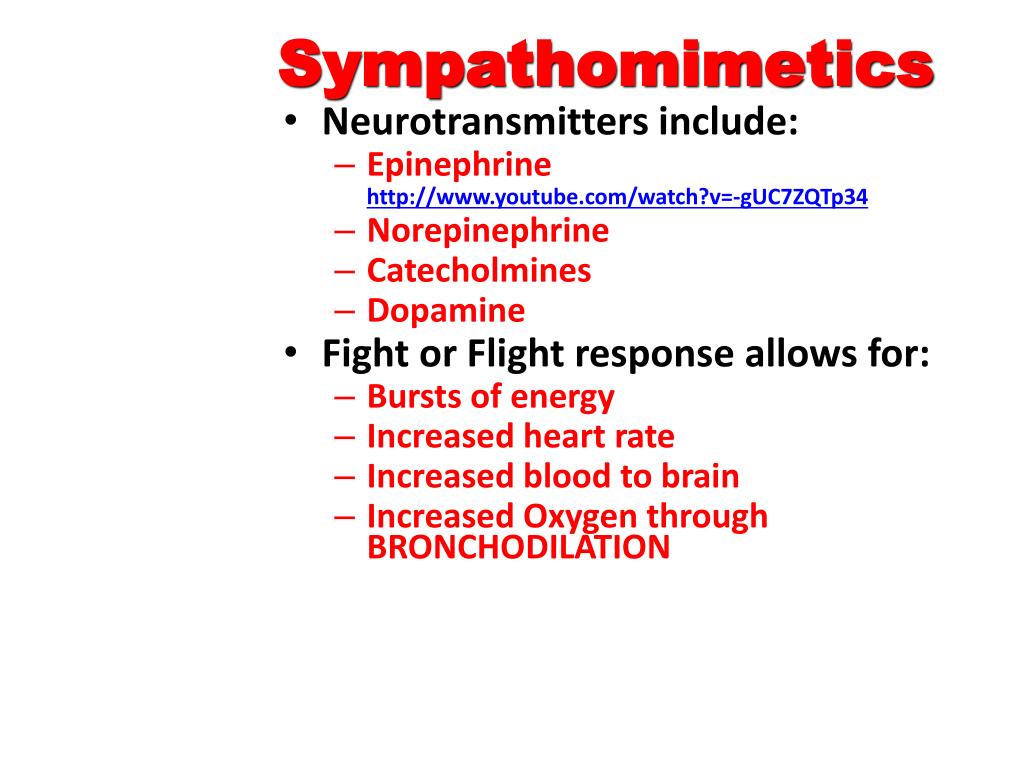 PPT - Respiratory Pharmacology Week 4 PowerPoint Presentation, free ...