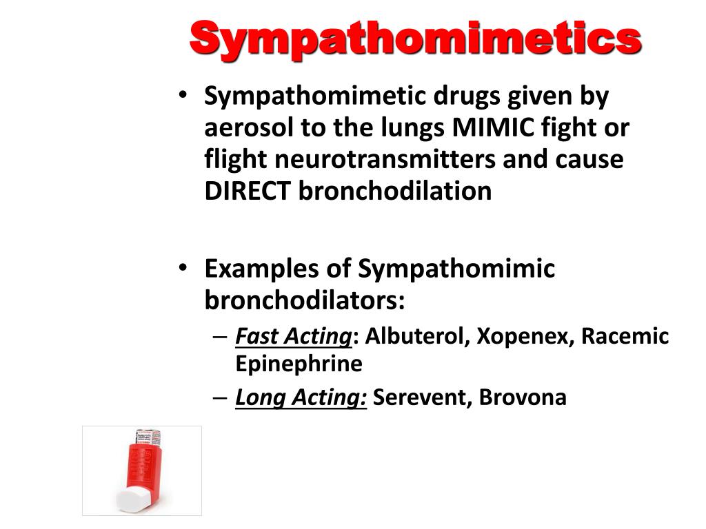 PPT - Respiratory Pharmacology Week 4 PowerPoint Presentation, free ...