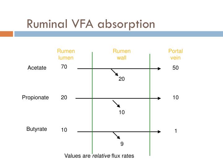 PPT - Volatile fatty acids PowerPoint Presentation - ID:2064332