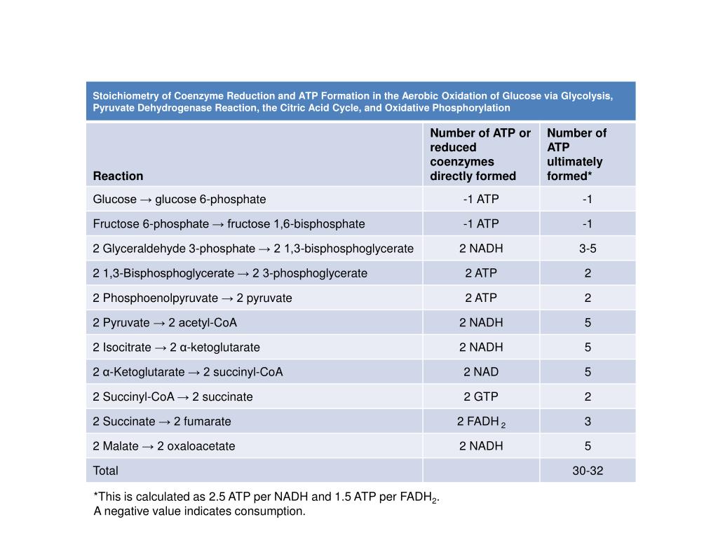 PPT - The tricarboxylic acid (TCA) cycle Biochemistry, 4 th edition, RH ...