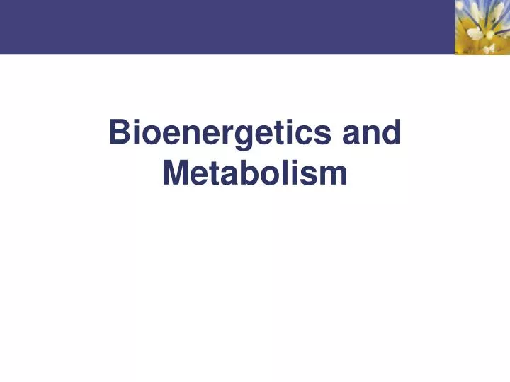 PPT - Bioenergetics and Metabolism PowerPoint Presentation, free ...