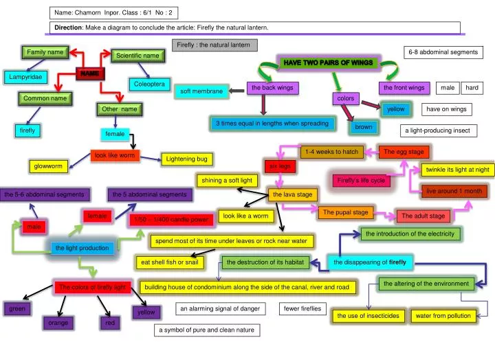 PPT - a light-producing insect PowerPoint Presentation, free download ...