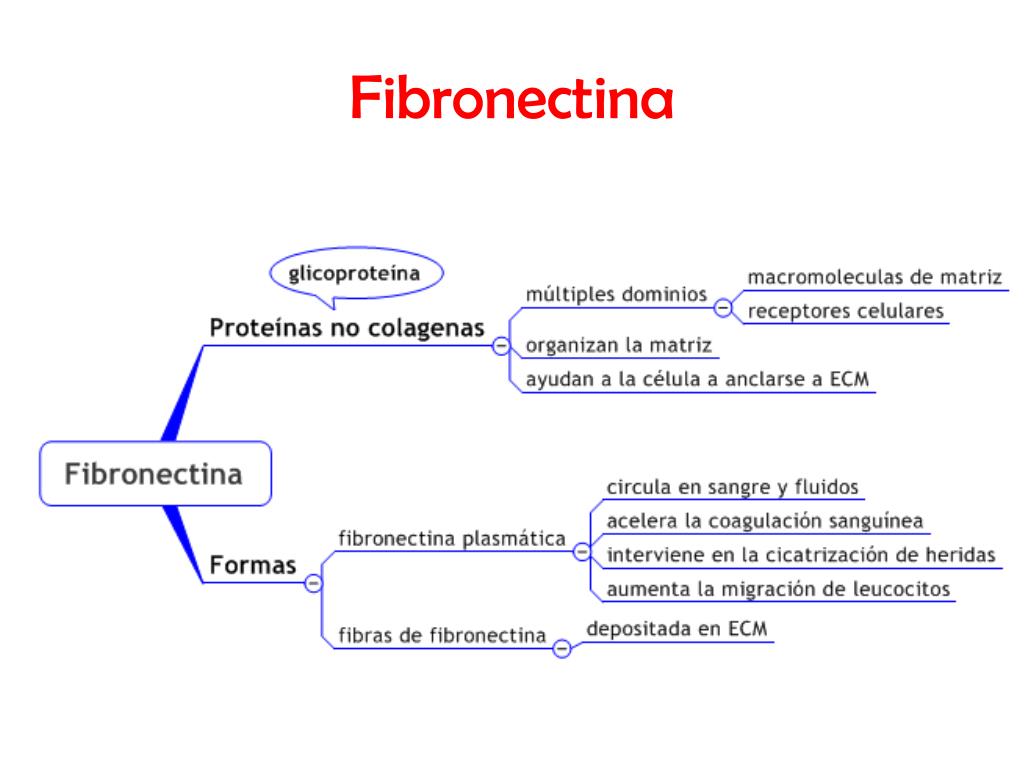 PPT - UNIVERSIDAD DEL VALLE DE MÉXICO PowerPoint Presentation, free ...