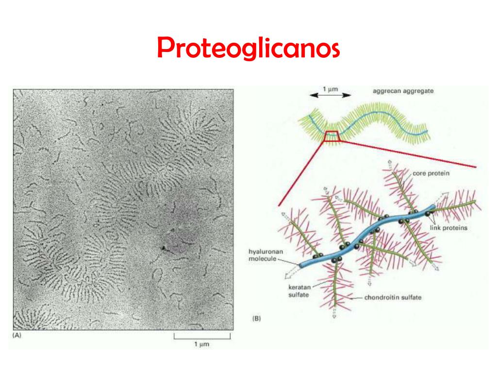 PPT - UNIVERSIDAD DEL VALLE DE MÉXICO PowerPoint Presentation, free ...
