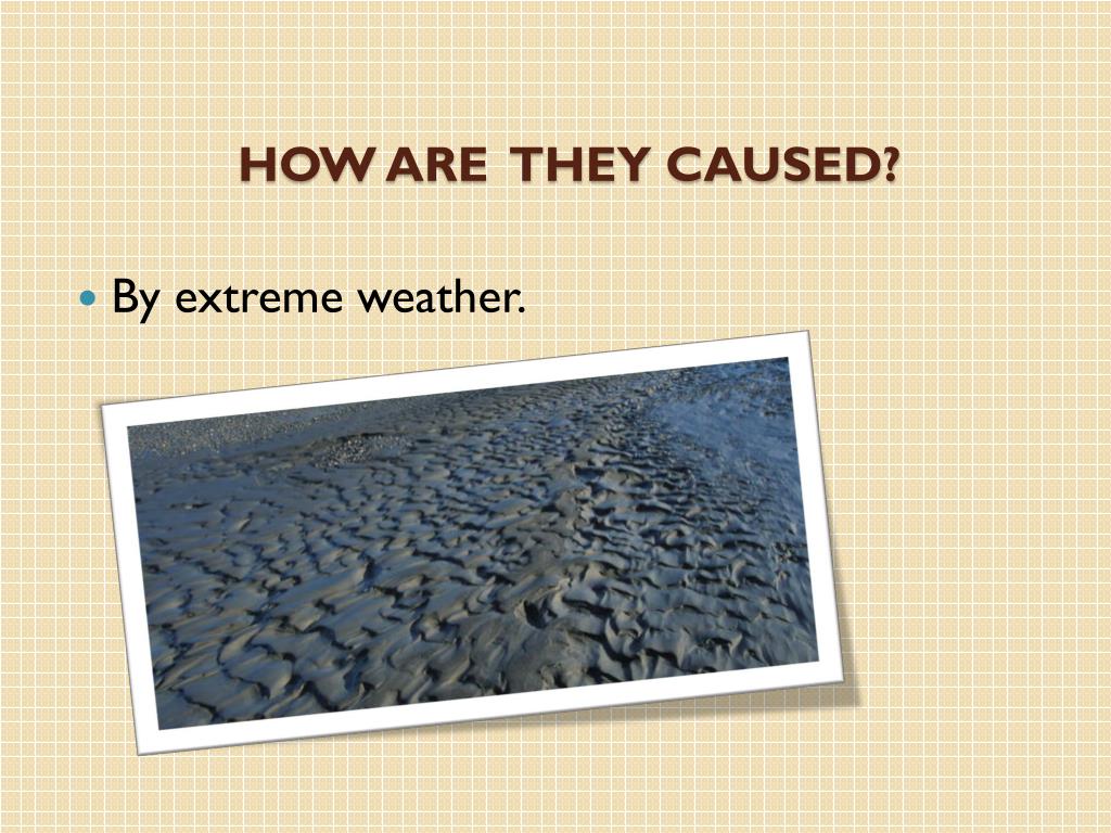 PPT - MUDSLIDES/LANDSLIDES PowerPoint Presentation, free download - ID ... PPT - MUDSLIDES/LANDSLIDES PowerPoint Presentation, free download - ID ...