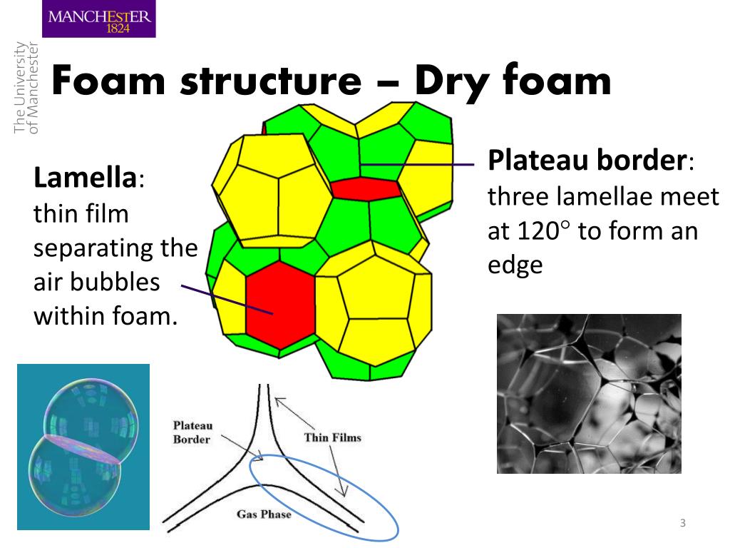 PPT - Denny Vitasari, Paul Grassia , Peter Martin Foam and Minimal ...