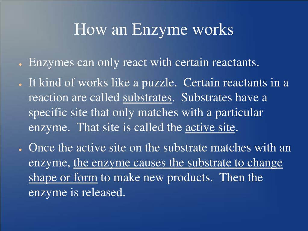 PPT - Chemical Reactions in Biology Chapter 6.2, Biology PowerPoint ...