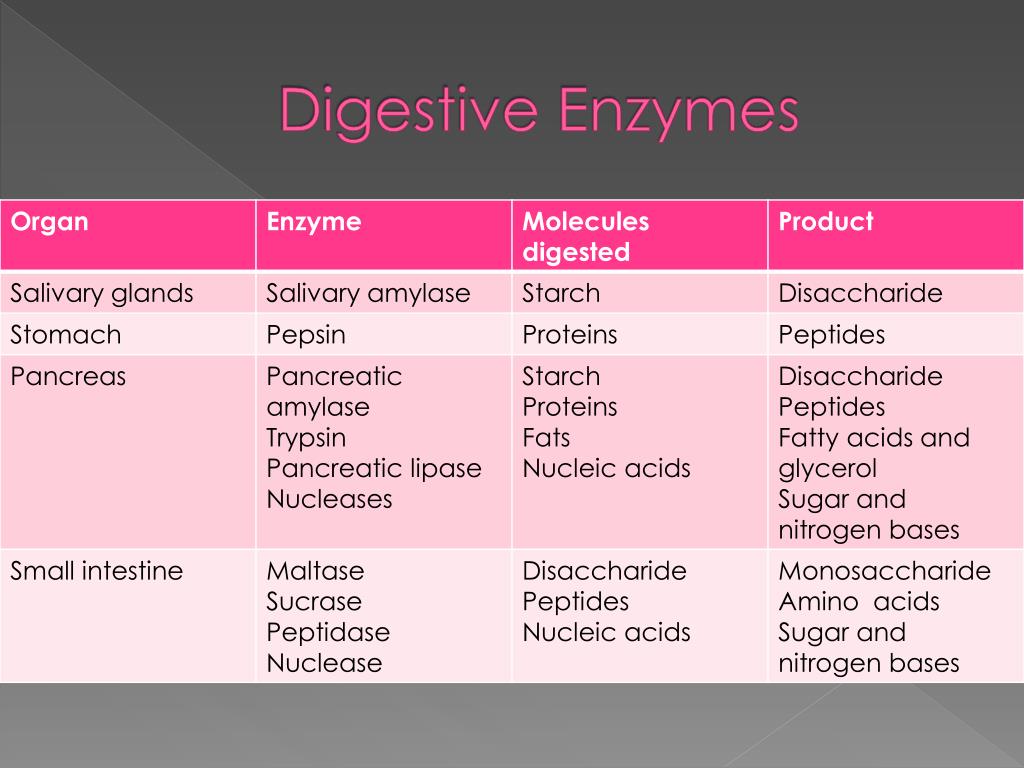 PPT - The Digestive System PowerPoint Presentation, free download - ID ...