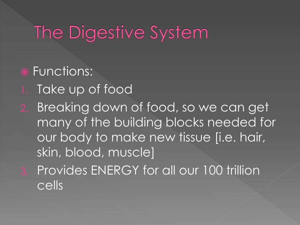 PPT - The Digestive System PowerPoint Presentation, free download - ID ...