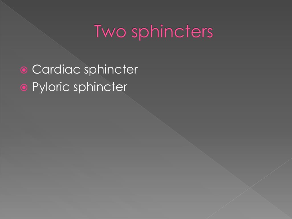 PPT - The Digestive System PowerPoint Presentation, free download - ID ...