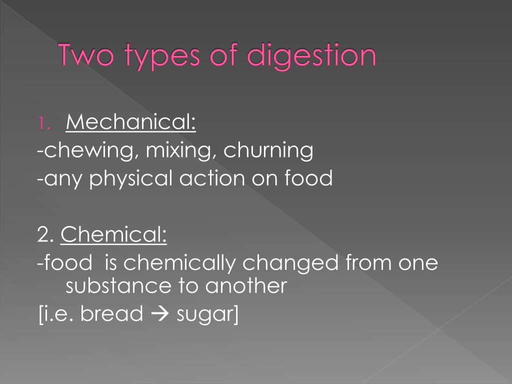 PPT - The Digestive System PowerPoint Presentation, free download - ID ...