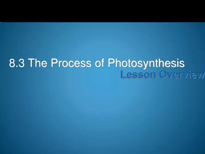 PPT - Lesson Overview PowerPoint Presentation, free download - ID:2065419 PPT - Lesson Overview PowerPoint Presentation, free download - ID:2065419