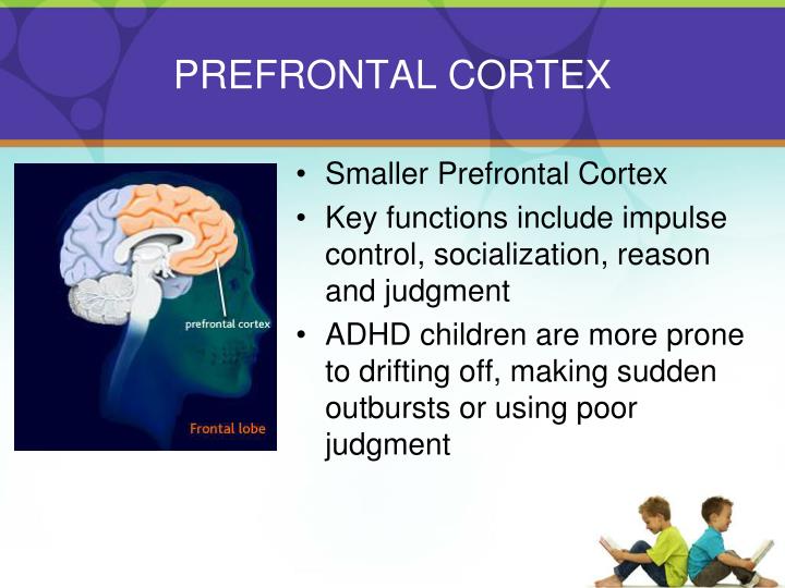 PPT - Attention Deficit Hyperactivity Disorder PowerPoint Presentation ...