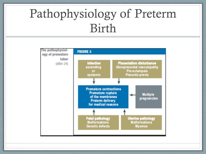 PPT - Periodontal Disease and Preterm Birth PowerPoint Presentation ...