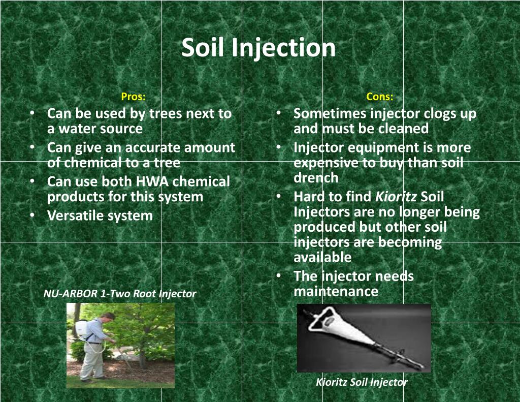 PPT - Hemlock Woolly Adelgid Training PowerPoint Presentation, free ...