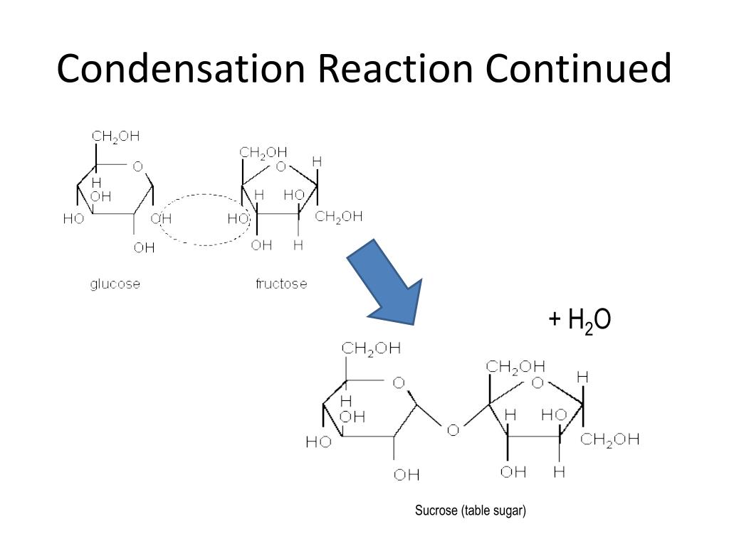 PPT - Chemistry of Living Things PowerPoint Presentation, free download ...