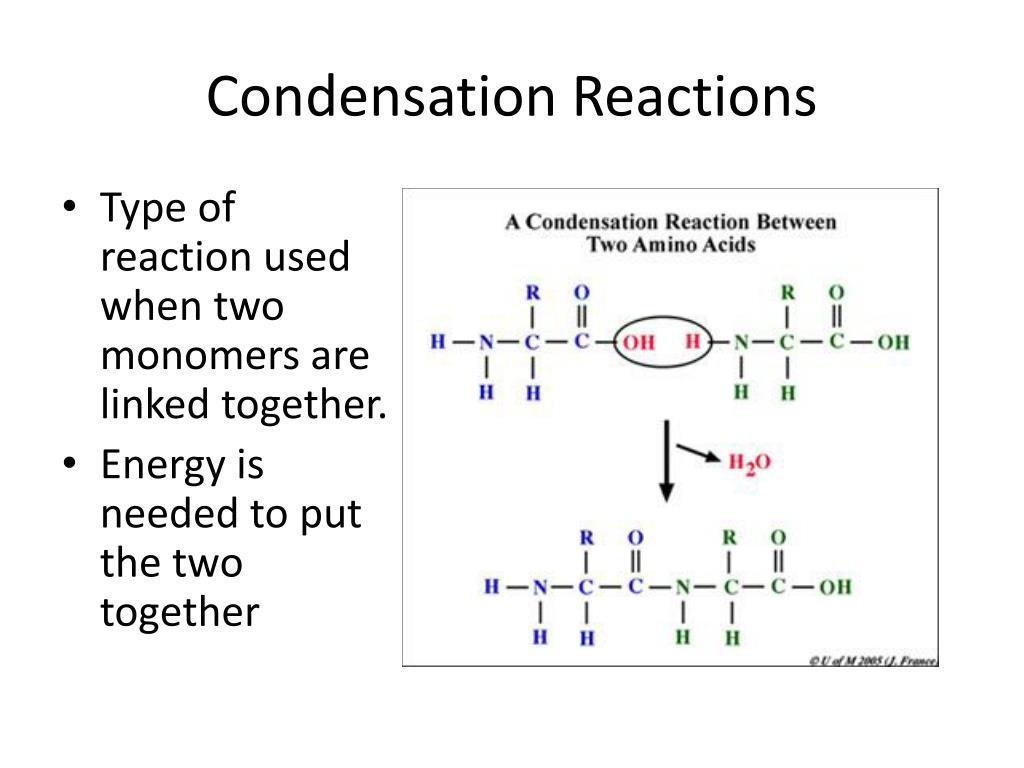 PPT - Chemistry of Living Things PowerPoint Presentation, free download ...